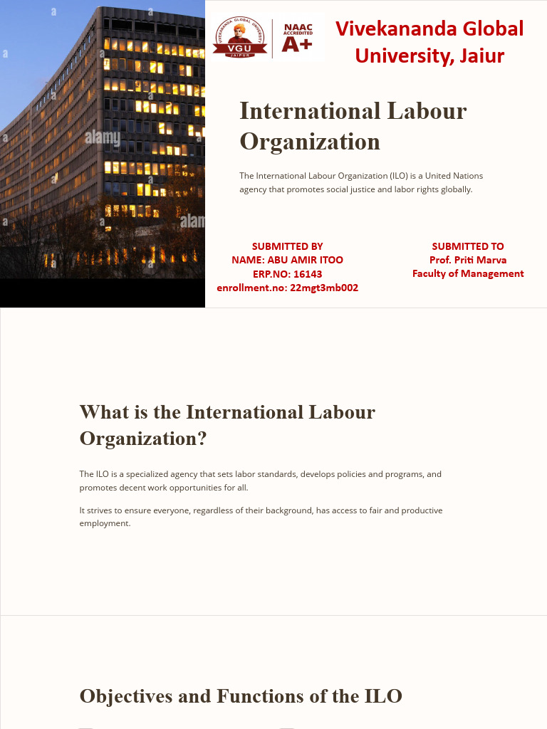 International Labour Organization | PDF | International Labour Organization | Labor Rights