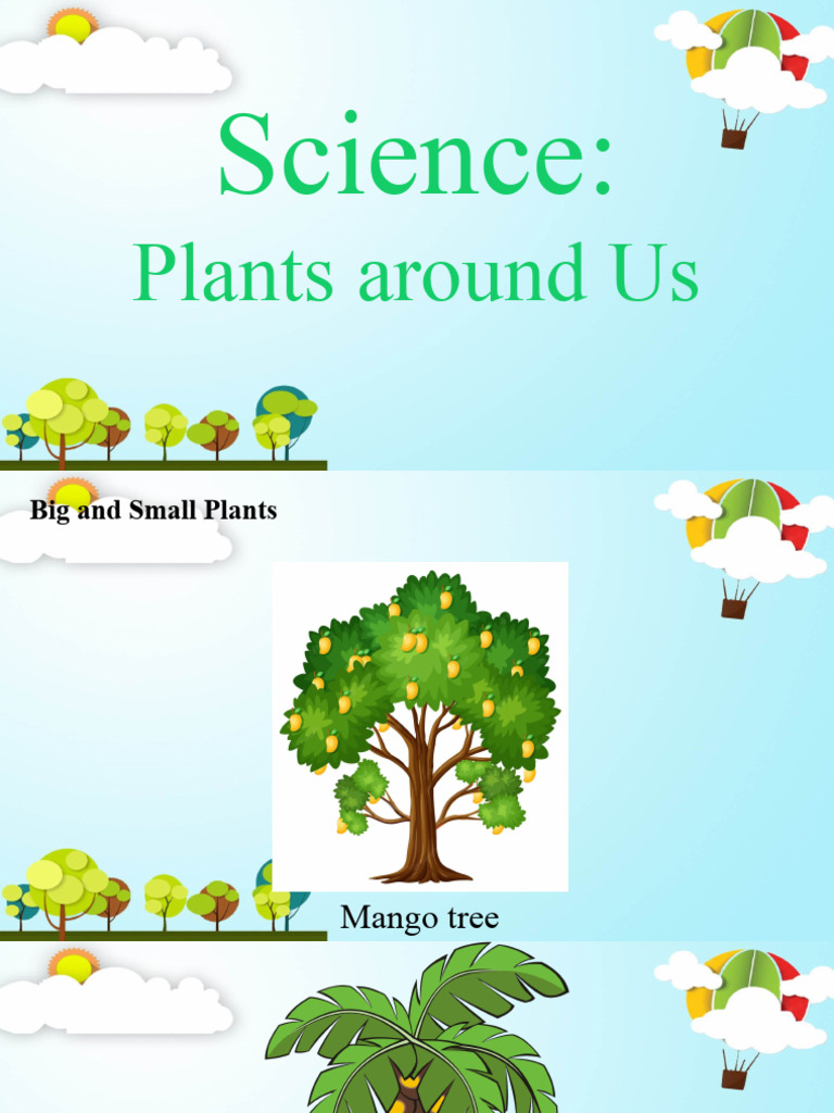 ScienceN Nov.15 Plants Around Us Autosaved | PDF | Plants | Trees