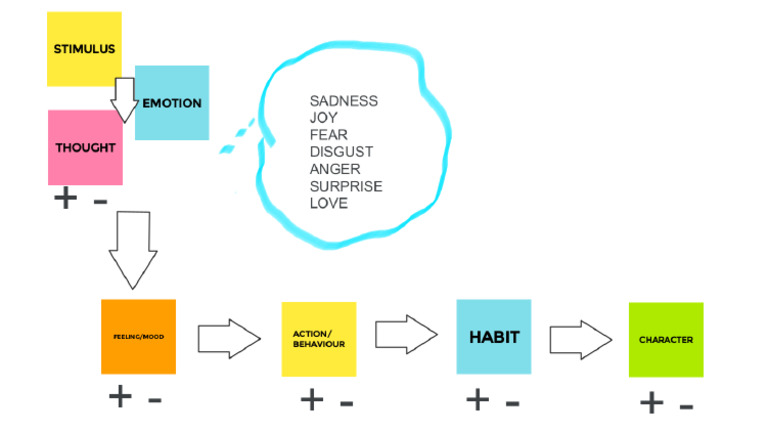 Emotional Process | PDF