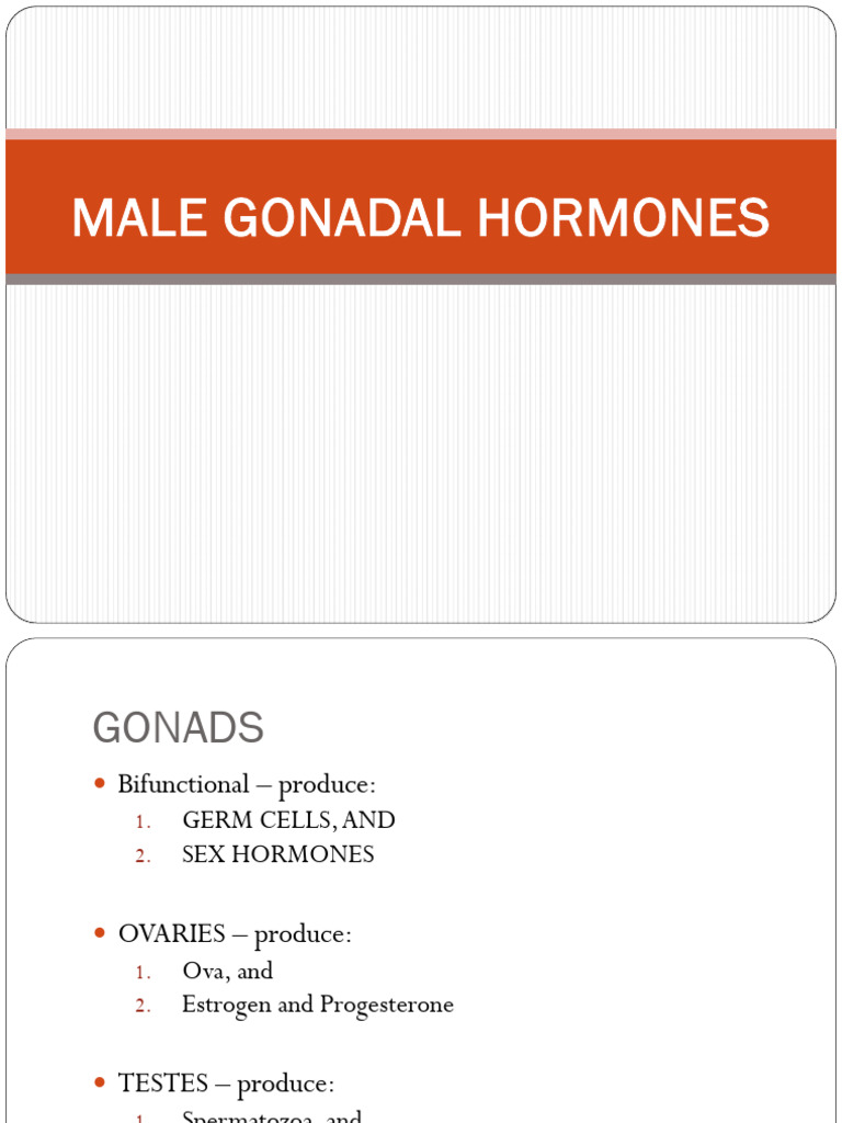 Testosterone Synthesis and Metabolism | PDF | Testosterone | Testicle