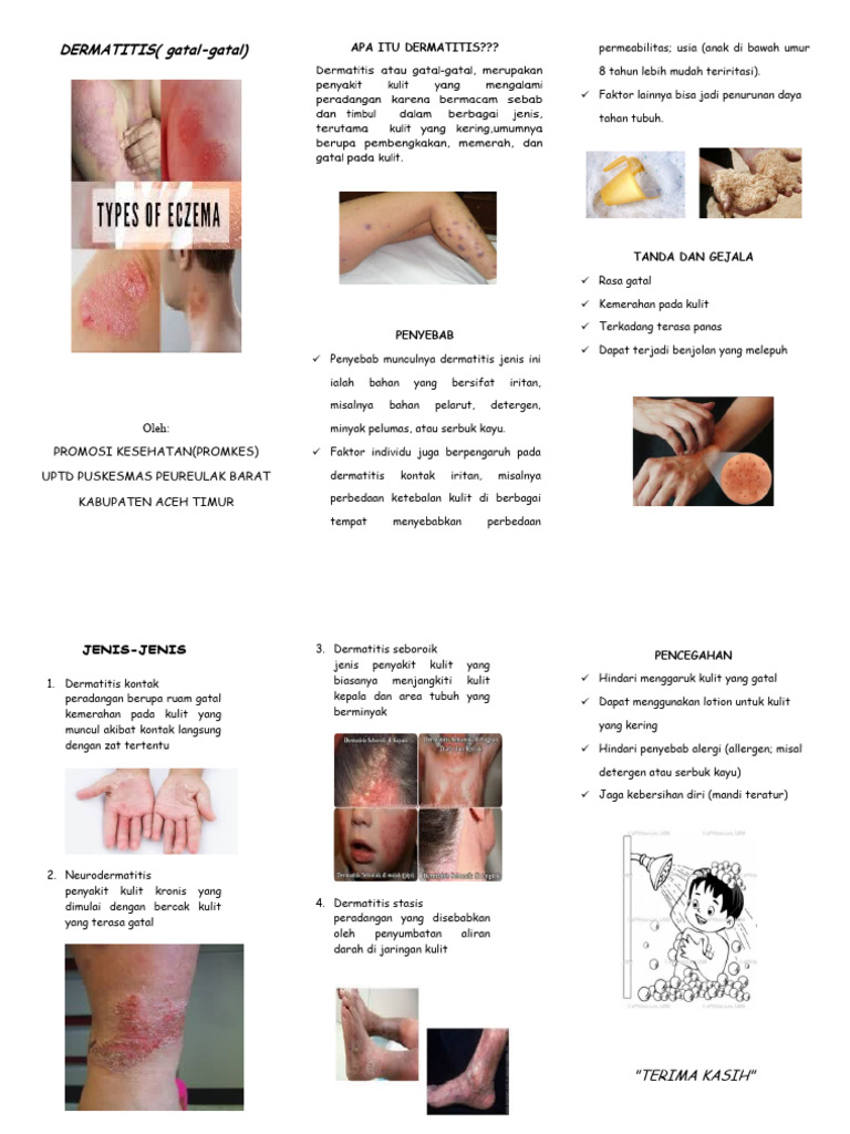 Leaflet Dermatitis | PDF