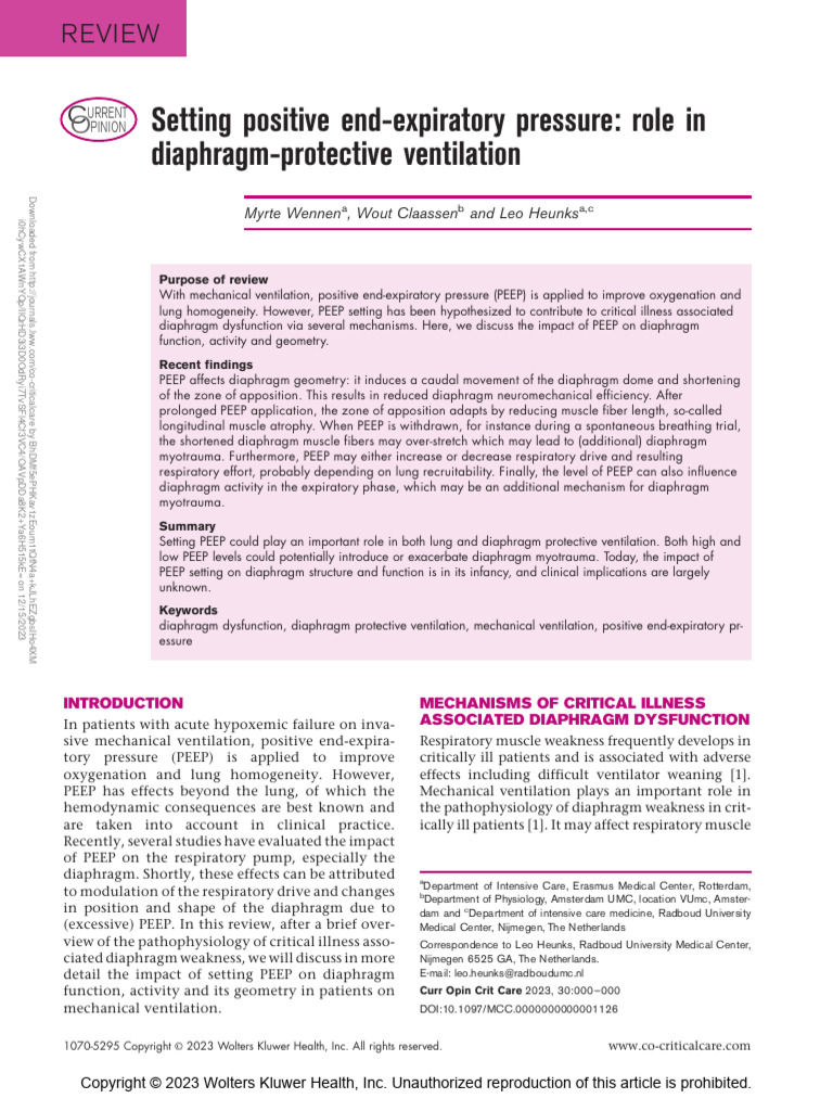 Setting Positive End Expiratory Pressure Role In.145 | PDF | Respiratory System | Intensive Care ...