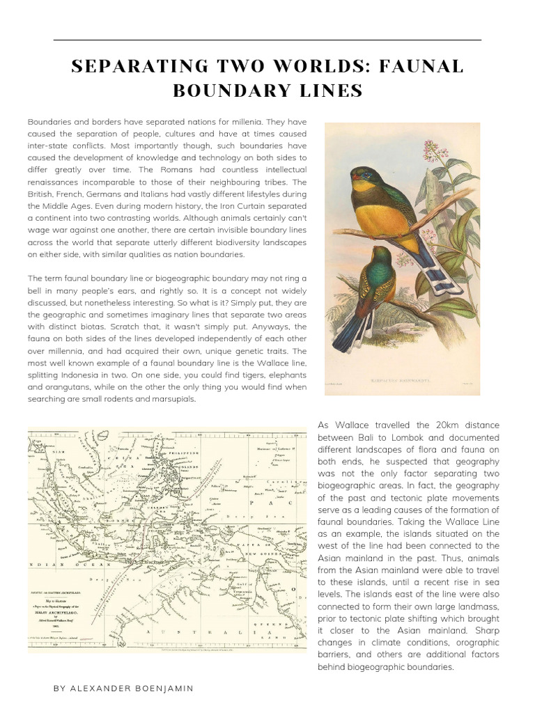 Alexander Boenjamin - Separating Two Worlds Faunal Boundary Lines | PDF ...