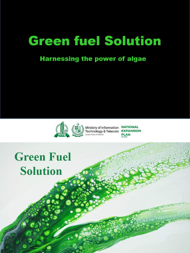 Green Fuel Solution (Muhammad Ameer Hamza) | PDF | Marketing | Fuels