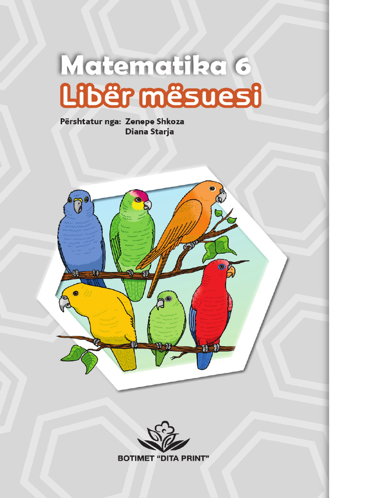 Matematika 6 Libri I Mesuesit | PDF