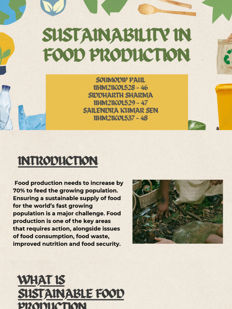 Sustainability in Food Production | PDF | Sustainability | Sustainable ...