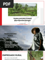 Bula - Stone | PDF | Agricultura | Nuvem