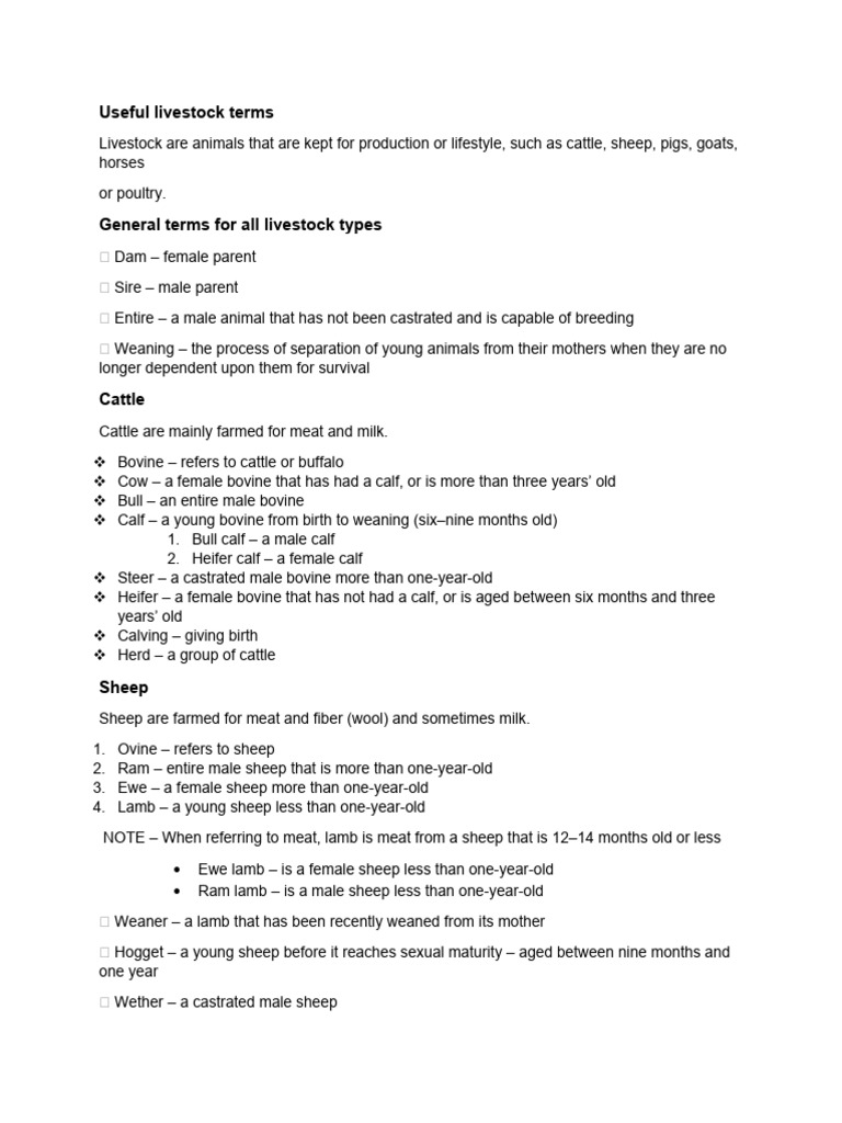 Useful Livestock Terms | PDF | Sheep | Cattle