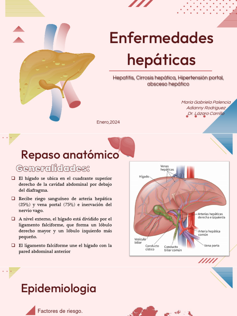 Enfermedades Del Higado Pdf Cirrosis Hepatitis