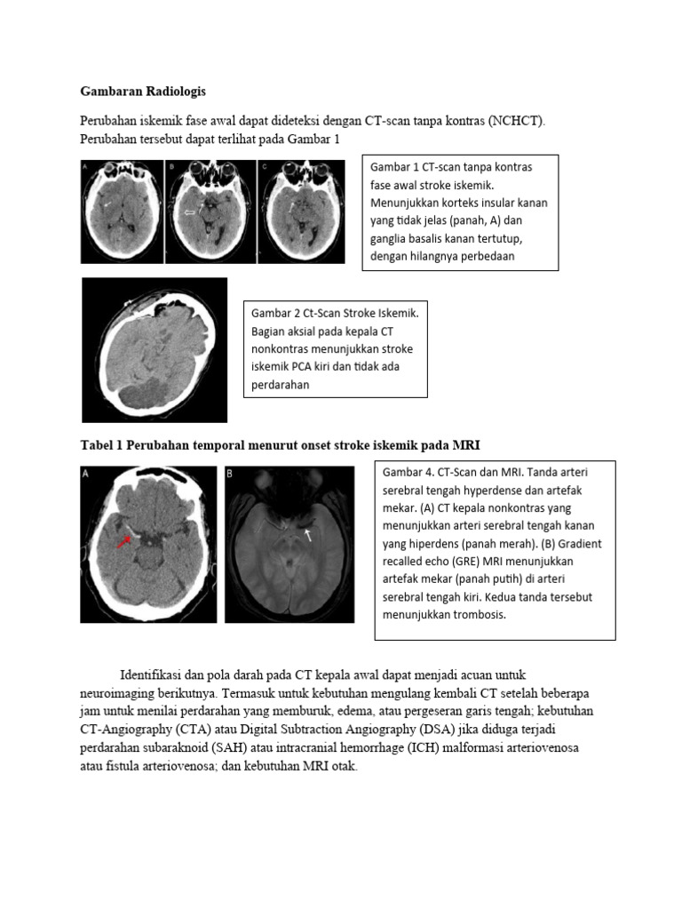 Gambaran Radiologis | PDF