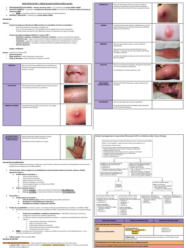 Infecciones de Piel y Tejidos Blandos (Iptb) en Niños - 28 Días Pediatria | PDF | Staphylococcus ...