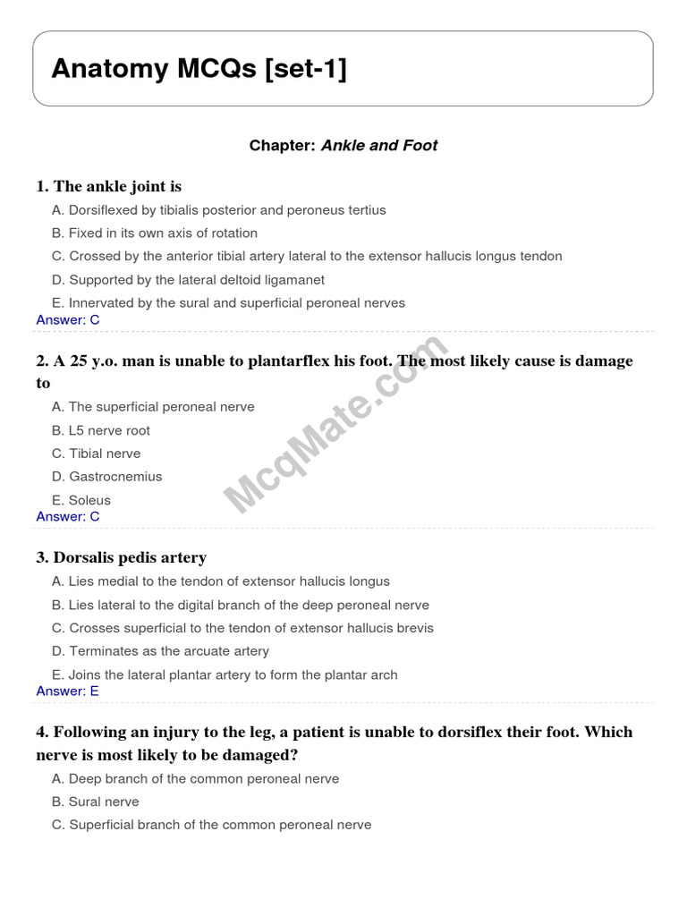 Ankle and Foot Anatomy MCQs Set 1 | PDF | Ankle | Foot