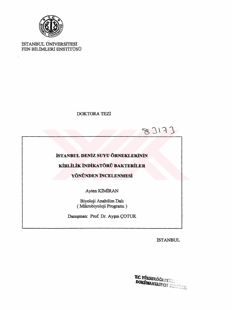 Sayfa Olcum Yontemleri Doktora Tezi | PDF