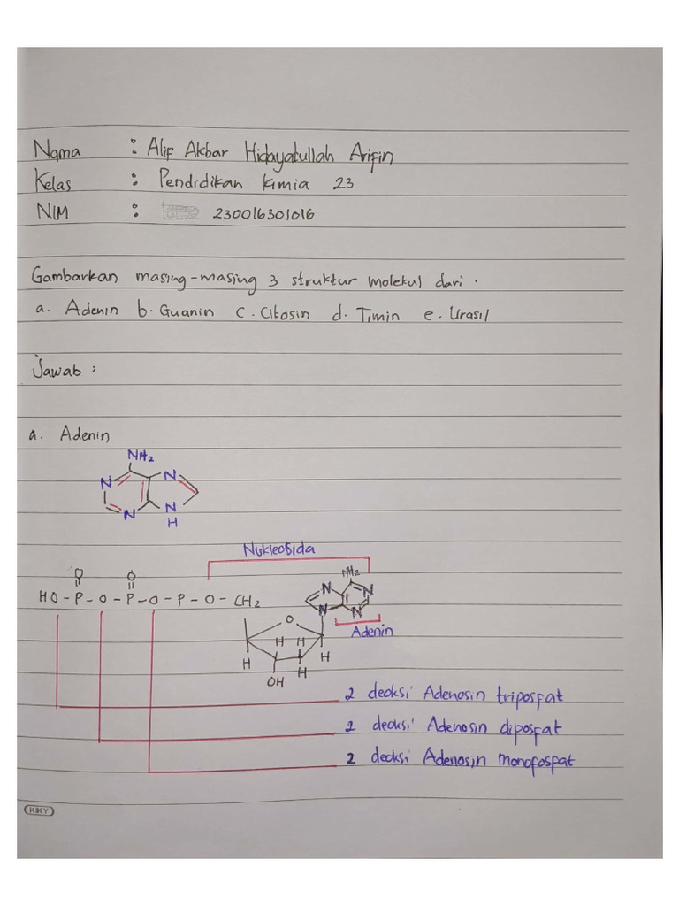 Alif Akbar Hidayatullah Arifin - 230016301016 - Tugas Struktur 5 N Basa ...