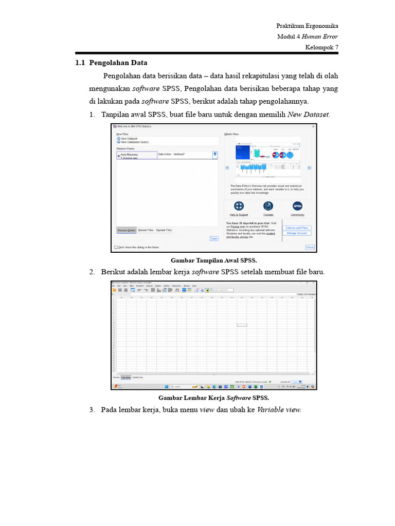 Panduan Pengolahan Data SPSS Ergonomika | PDF