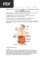 Signo de Murphy | PDF | Vesícula biliar | Gastroenterología