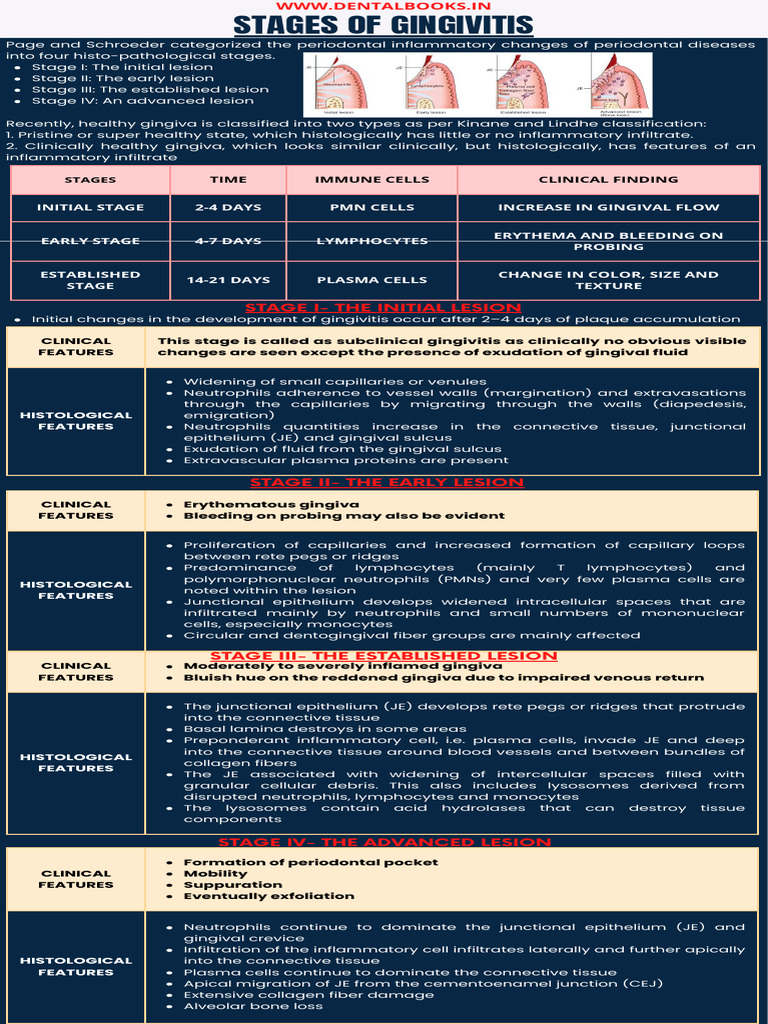 Stages of Gingivitis | PDF | Periodontology | Dentistry Branches
