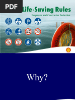 Lifesaving Rules Poster | PDF | Safety