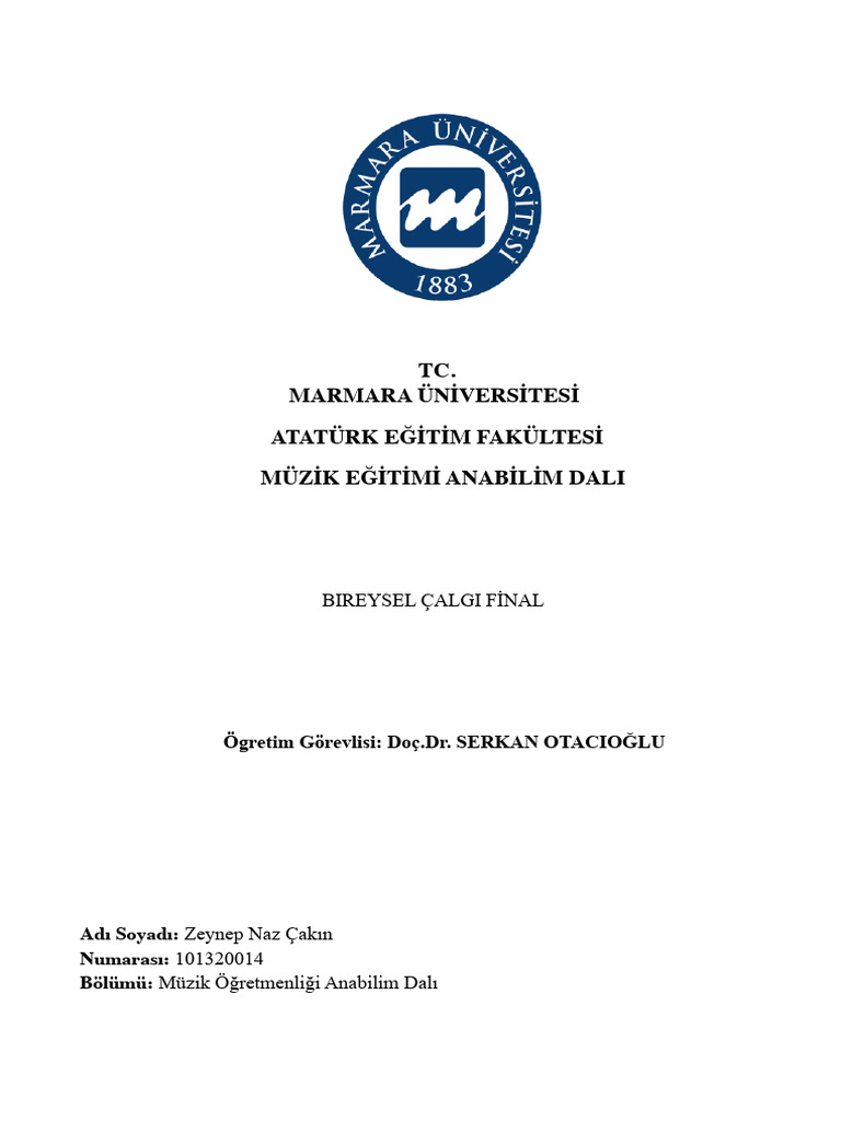 Bireysel Calgi | PDF