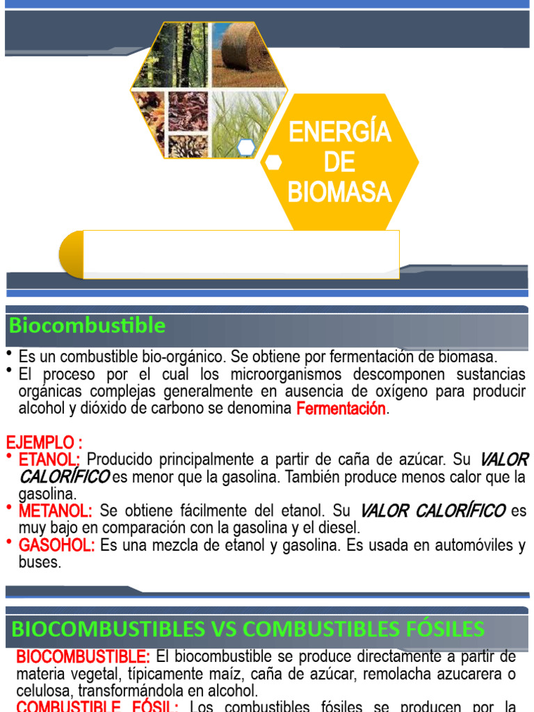 Biomasa 02 2024A | PDF | Biocombustible | Biodiésel
