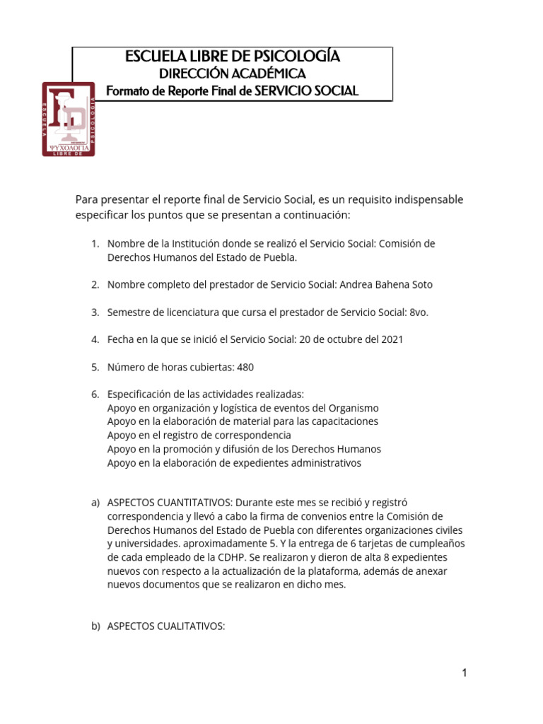 FORMATO Reporte Final SS | PDF