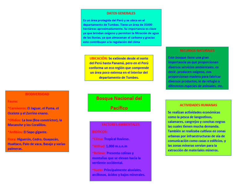 Esquema de Ecosistemas Del Perú | PDF | Los bosques | Entorno natural