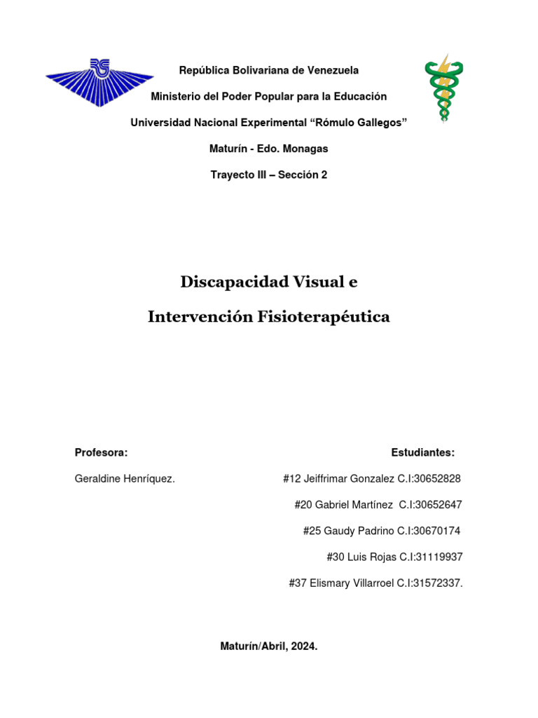 Intervención Fisioterapéutica en Discapacidad Visual | PDF | Percepción ...