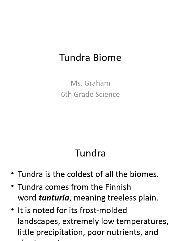 Tundra | PDF | Earth Sciences | Physical Geography