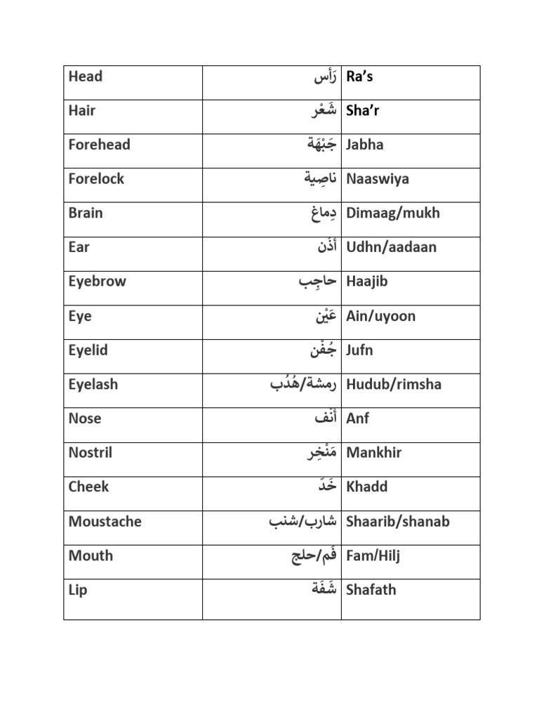 Body Parts Arabic PDF | PDF | Human Anatomy | Anatomy