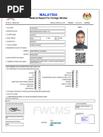 General Declaration in Aviation | PDF | Aviation | Public Health