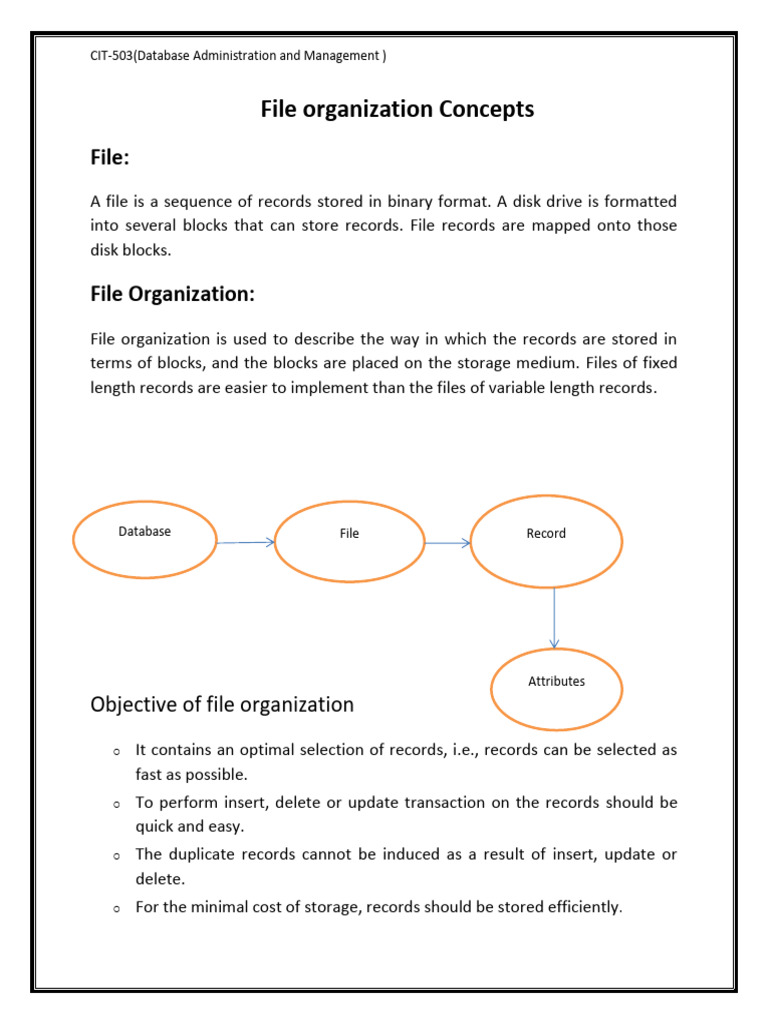 File Organization | Download Free PDF | Computer File | Databases