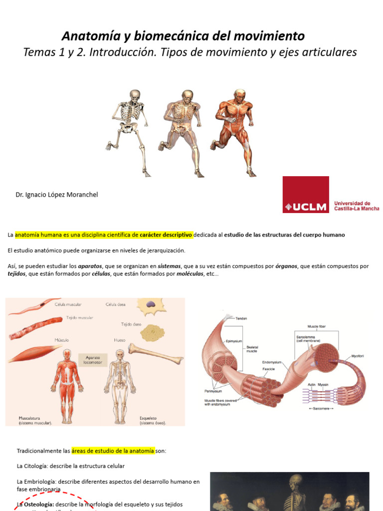Tema 1 y 2. Introducción y Tipos de Movimiento | PDF | Términos ...