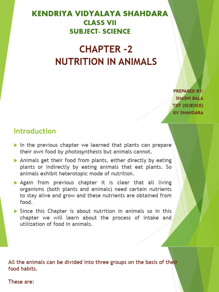 Science, CH 2 NUTRITION IN ANIMALS | PDF | Human Digestive System | Digestion