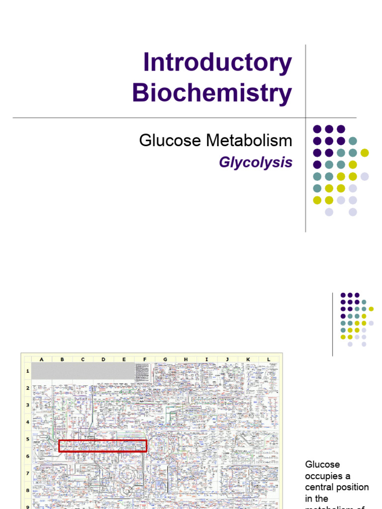 9.glycolysis PDH | PDF | Glycolysis | Glucose