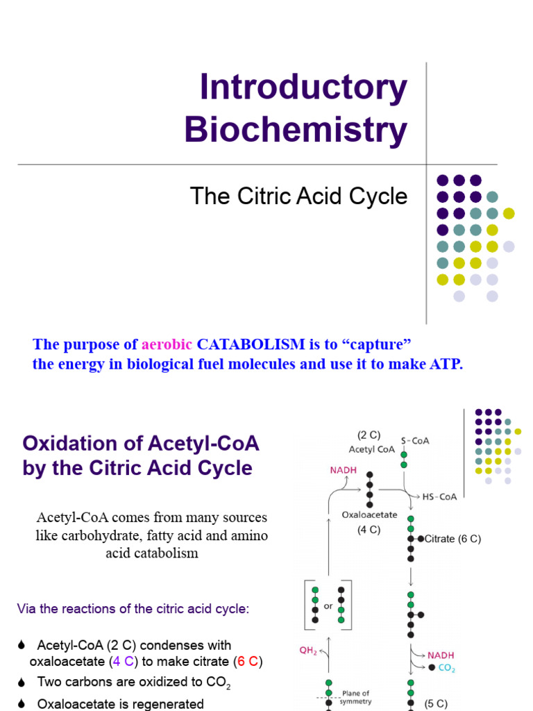 10 Cac | PDF | Diet & Nutrition | Chemistry