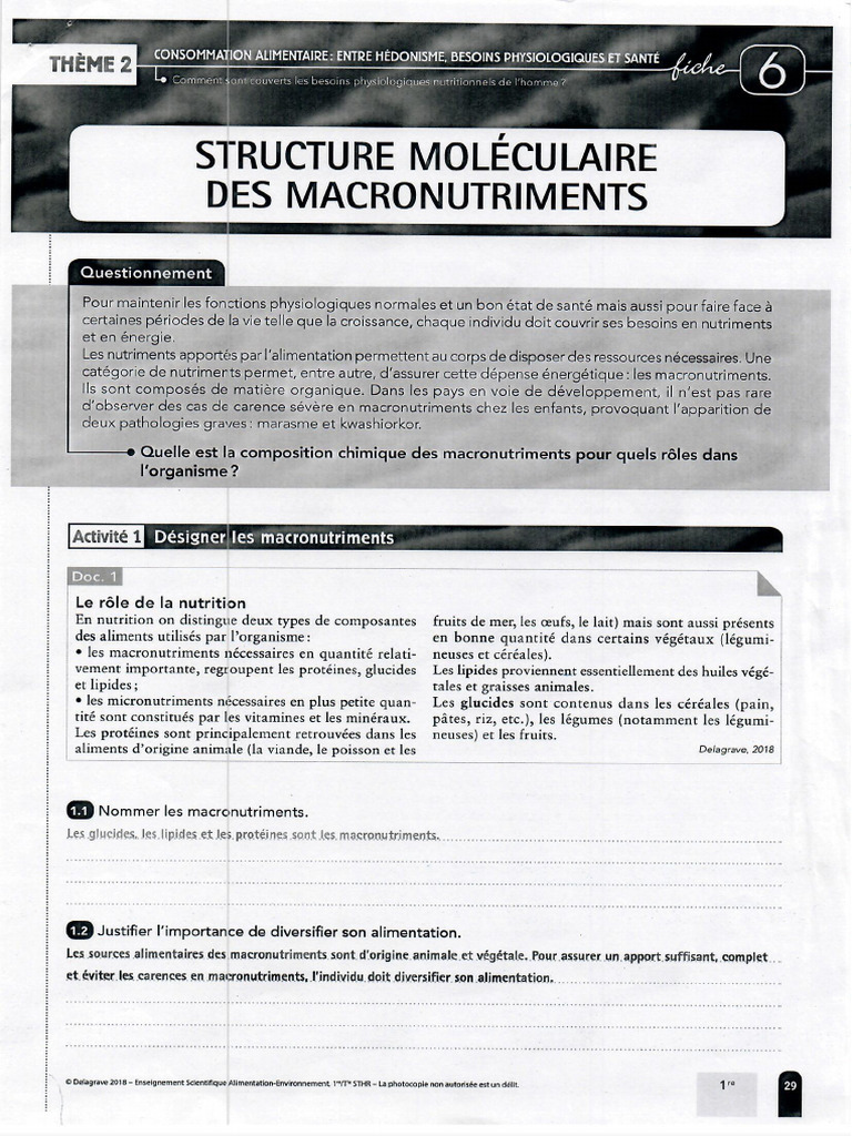 Scan Structure MolÃ© Culaire Des Macronutriments | PDF