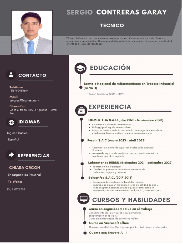 Curriculum Vitae - Sergio Contreras | PDF