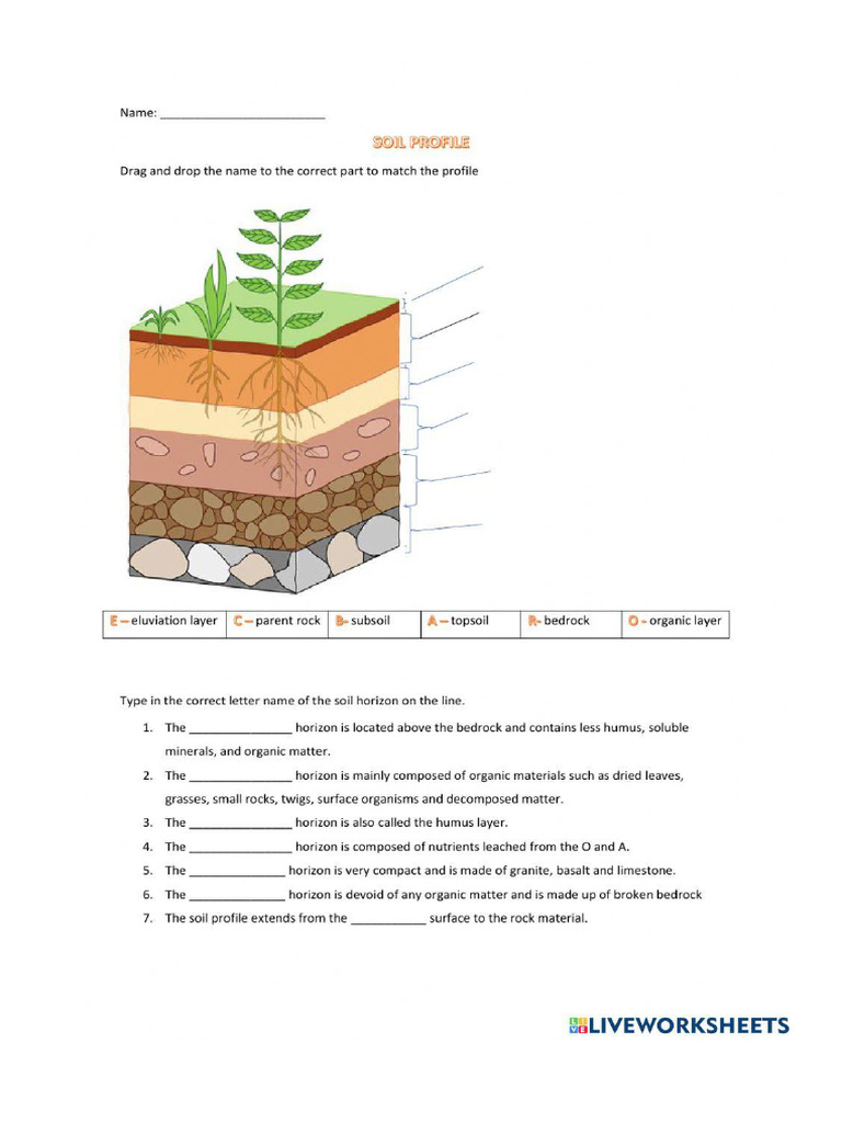 Soil Profile | PDF