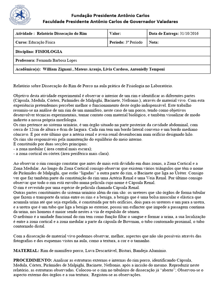 Relatorio Dissecação Do Rim | PDF | Rim | Órgão (anatomia)
