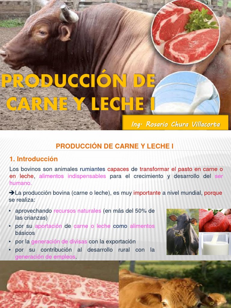 Cap I - Prod de Carne-24 - 092047 | PDF | Carne | Carne de vaca