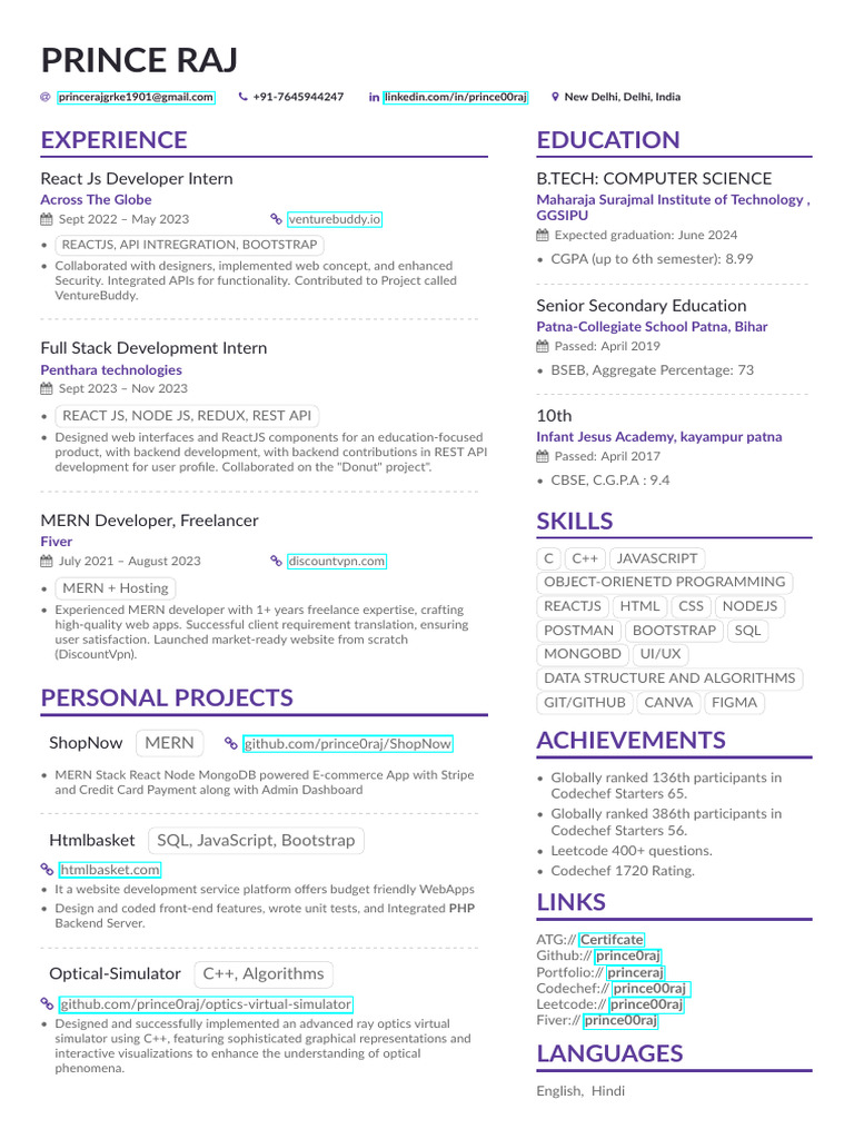 Prince Raj Resume | PDF | Computing | Software Engineering