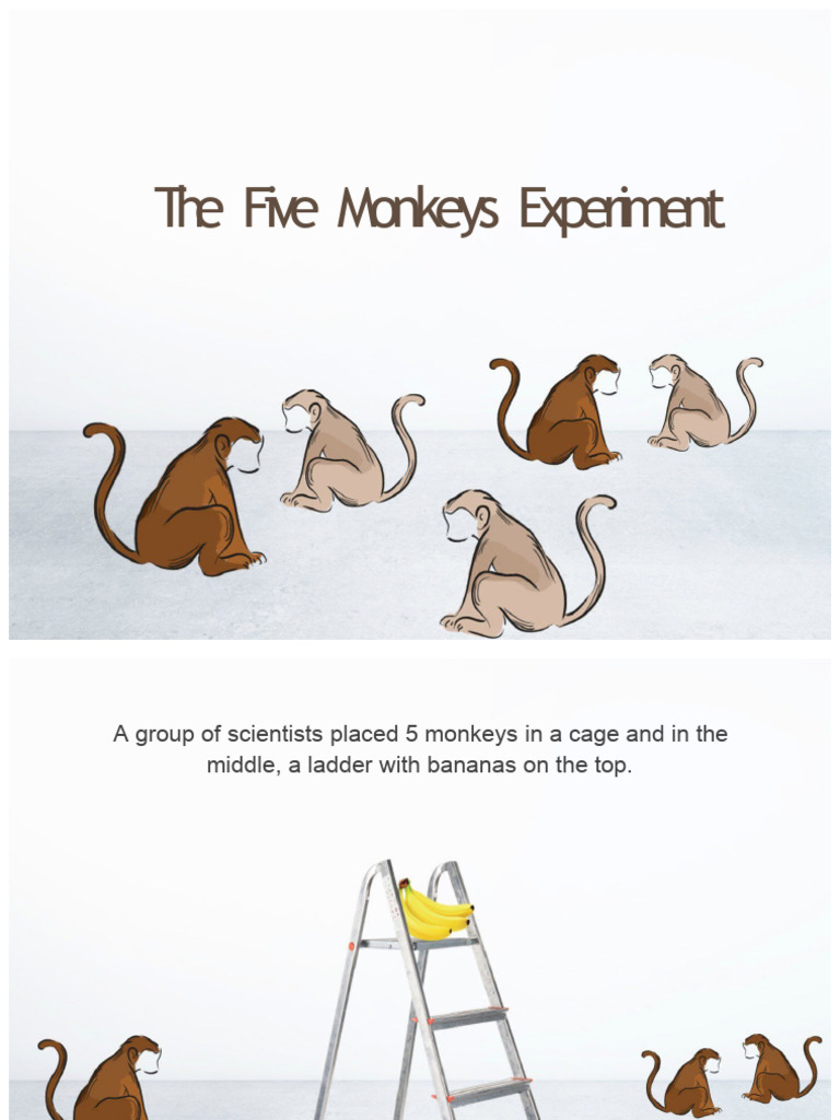 The Five Monkeys Experiment Explained | PDF | Identity (Social Science ...