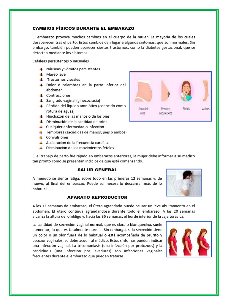 Cambios Físicos Durante El Embarazo | PDF | El embarazo | Sangre