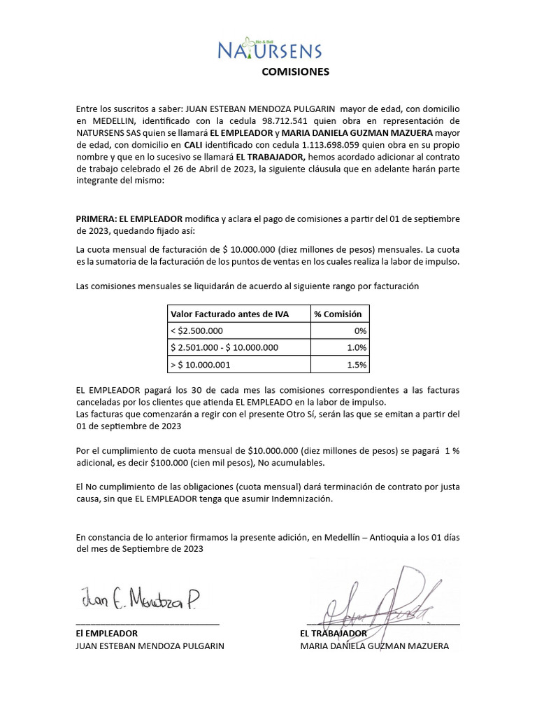 1 - OTRO SI - COMISIONES - Edited | PDF