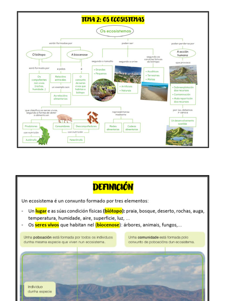 Tema 2: Ecosistemas | PDF