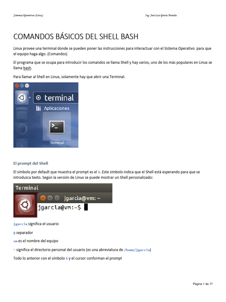 1.1 Comandos Básicos Del Shell Bash | PDF | Archivo de computadora ...