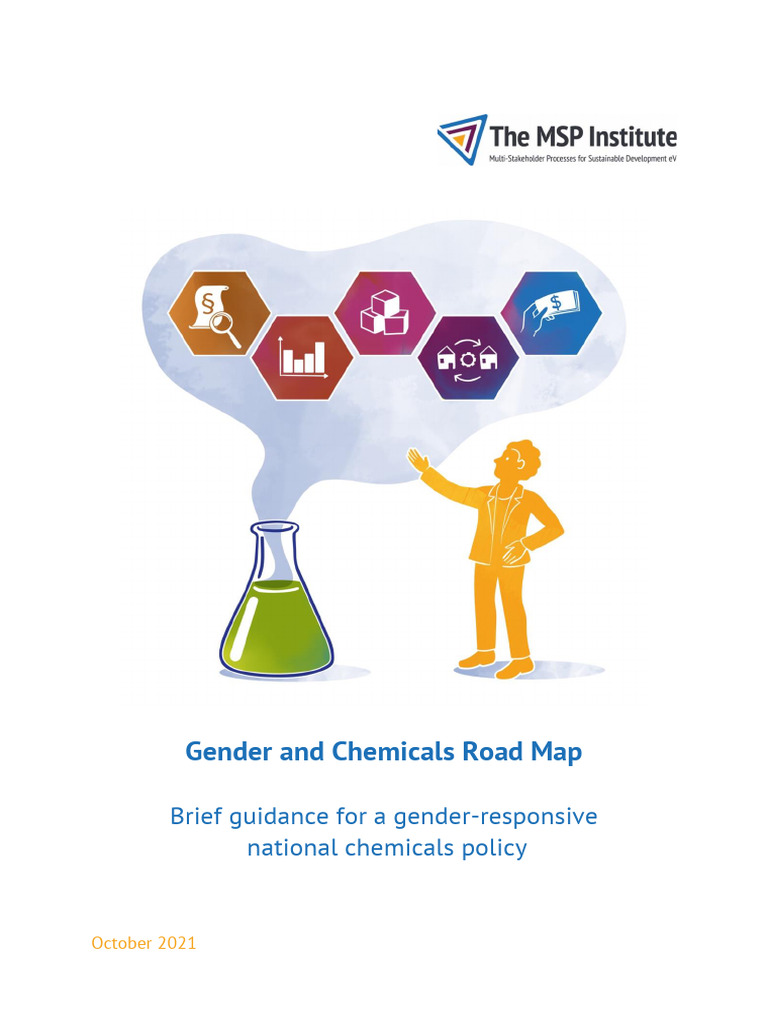 Gender Road Map Final | PDF | Gender | Gender Studies