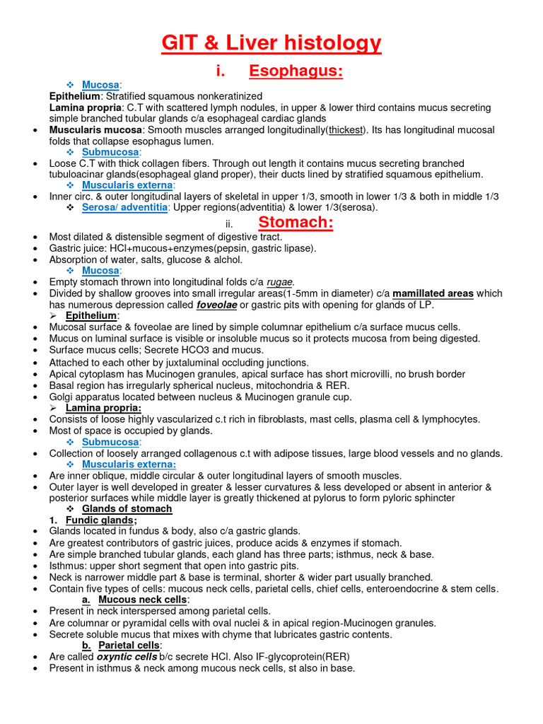 Histology of GIT Liver | PDF | Stomach | Liver