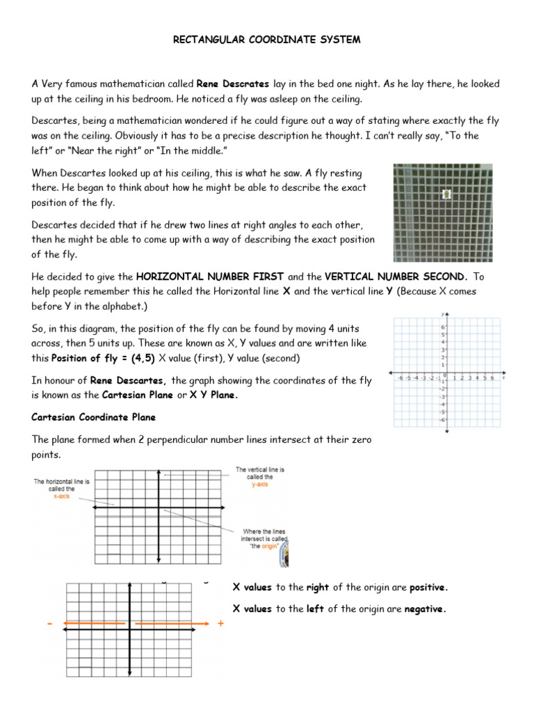 Understanding the Cartesian Coordinate System | PDF