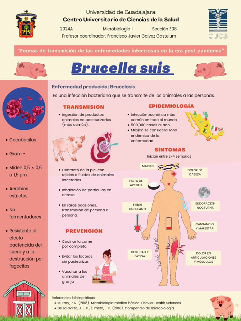 Brusella - Bruselosis | PDF | Especialidades Medicas | Epidemiología